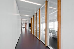 Partition walls : Partition walls for any space - Maars Living Walls