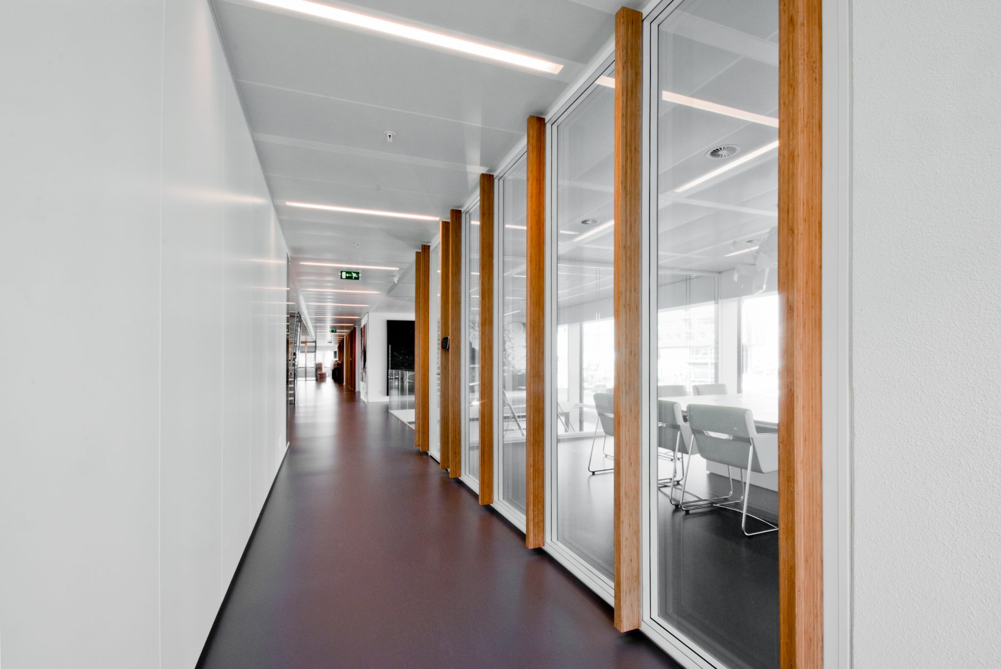 Partition walls : Partition walls for any space - Maars Living Walls