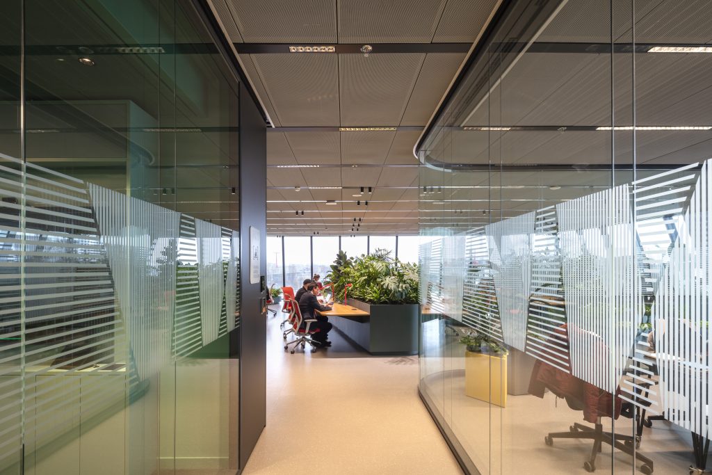 Partition walls : Partition walls for any space - Maars Living Walls